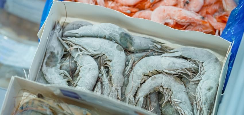 Diferencias entre congelado y ultracongelado - Compesca